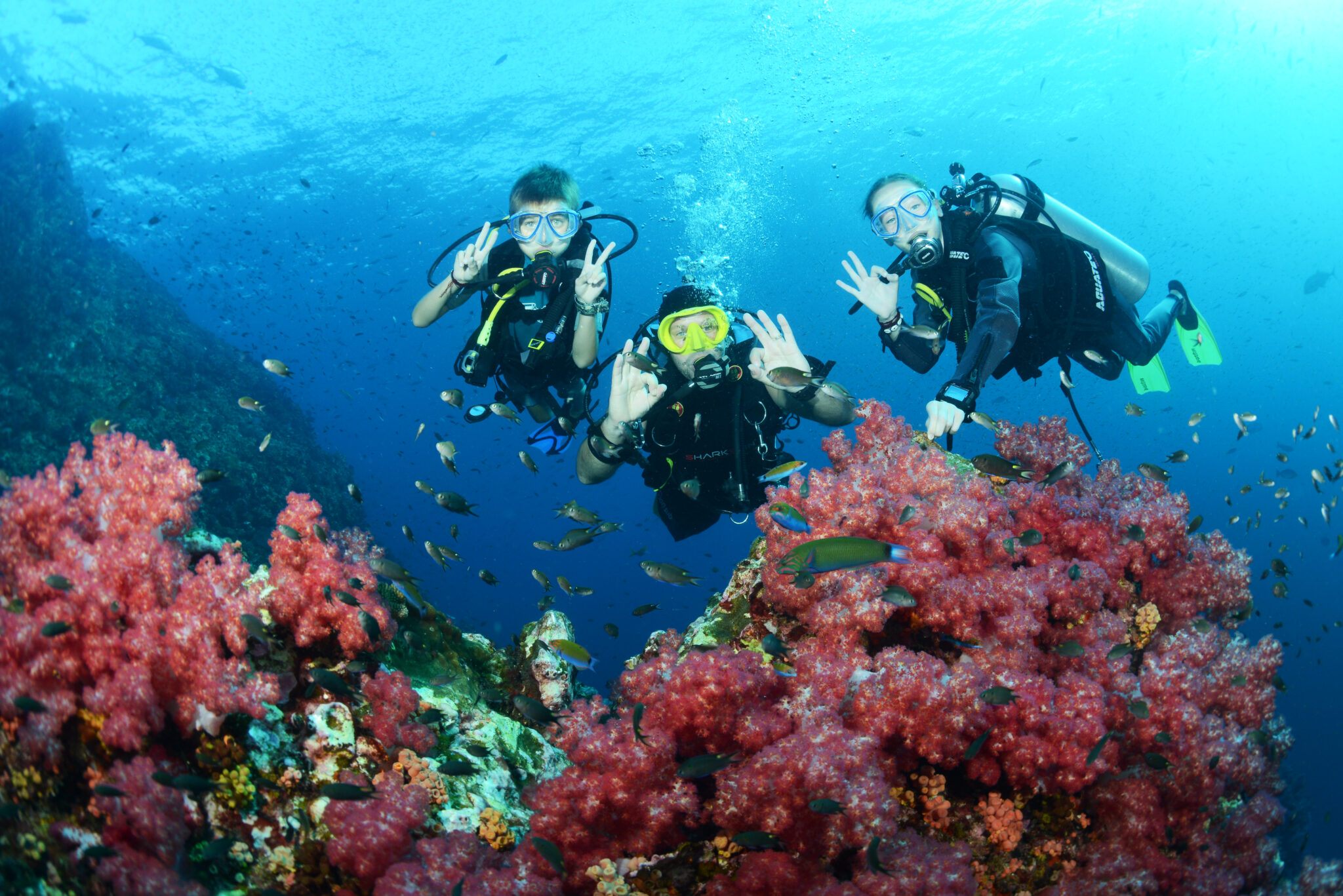 Discover the Thrill of Scuba Diving with a Try Dive - Scuba Diving Pattaya